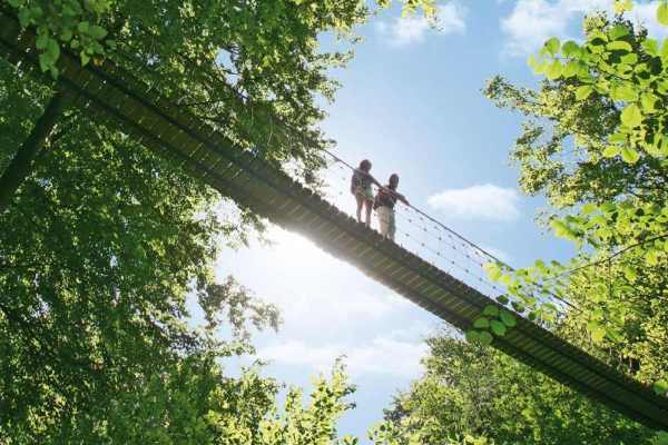 Rothaarsteig - Route van de Maand december Hicle Holidays